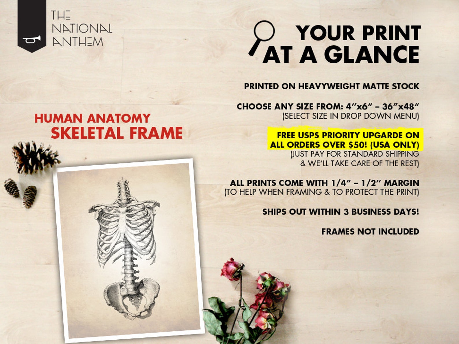 Skeletal Frame Human Anatomy Art Print Human Anatomy | Etsy