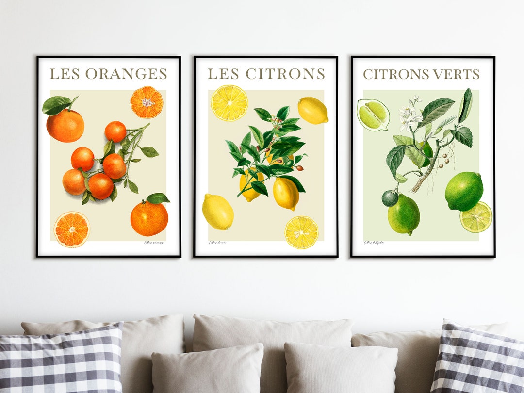 Citrus Print Set - Fruit Posters - Farmer's Market Art - Kitchen Art ...