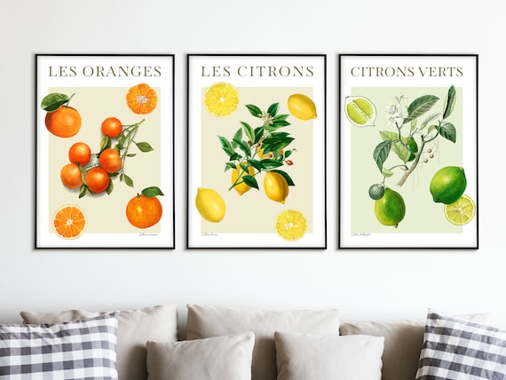Citrus Print Set Fruit Posters Farmer's Market Art - Etsy