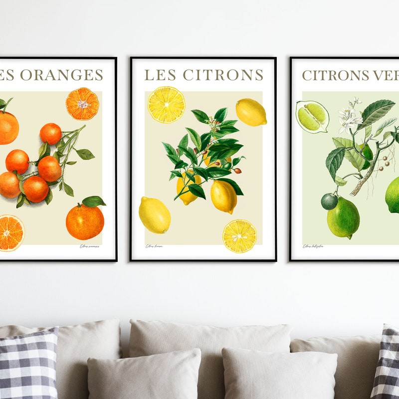 Citrus Art - Etsy