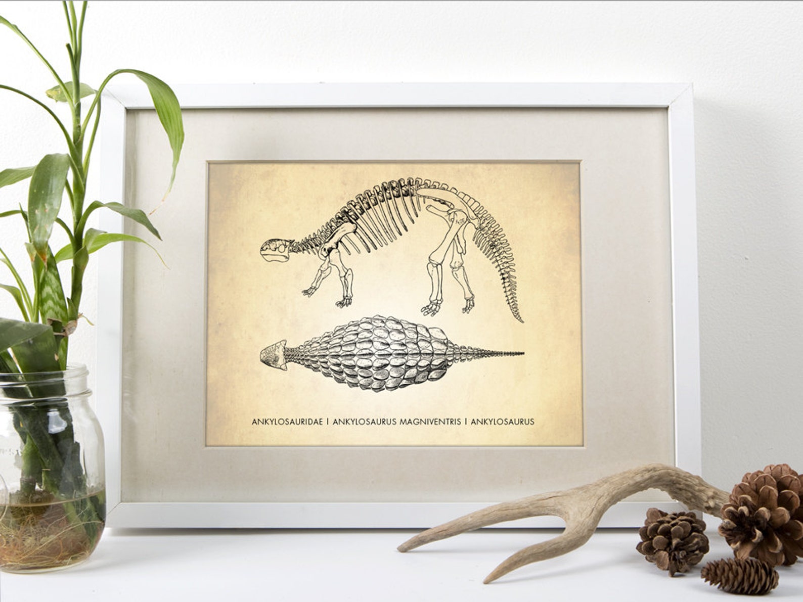 Ankylosaurus Art Print - Dinosaur Poster - Hard Shell Dinosaur - Dino ...