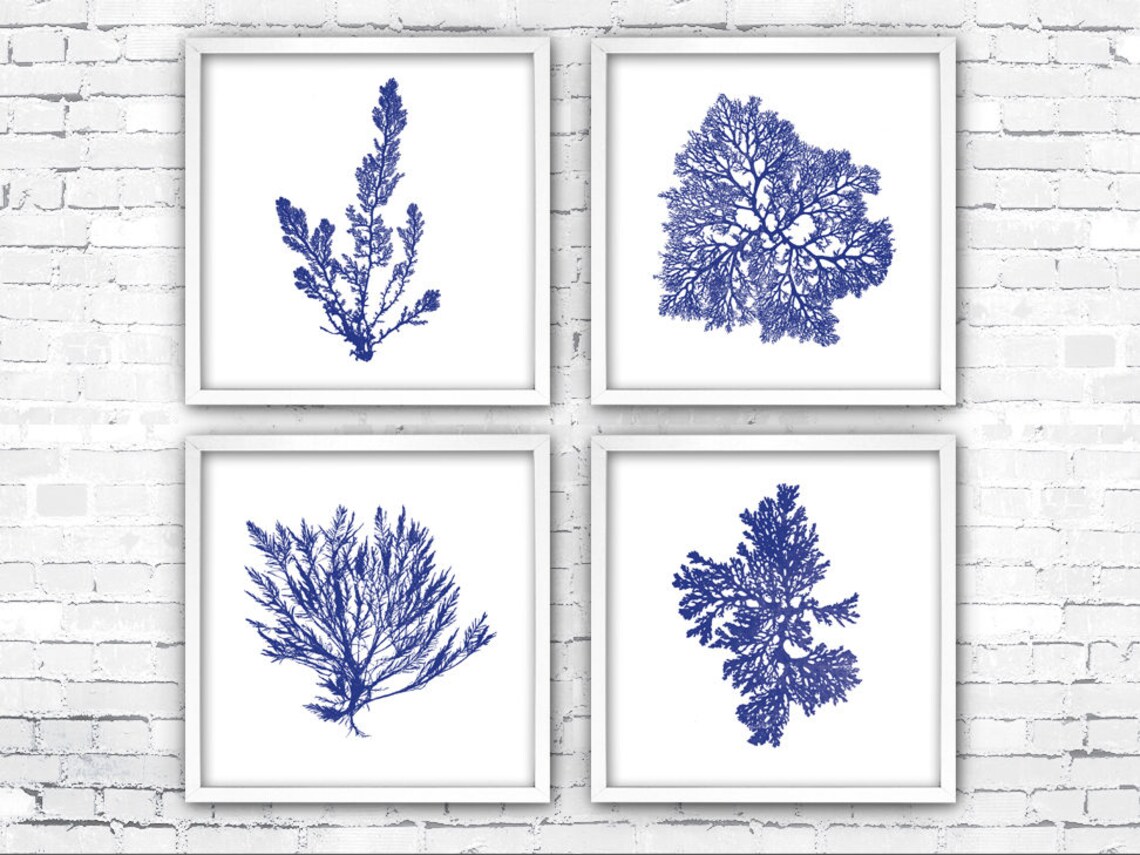 Coral Art Print Set Beach House Decor Square Coral Art - Etsy
