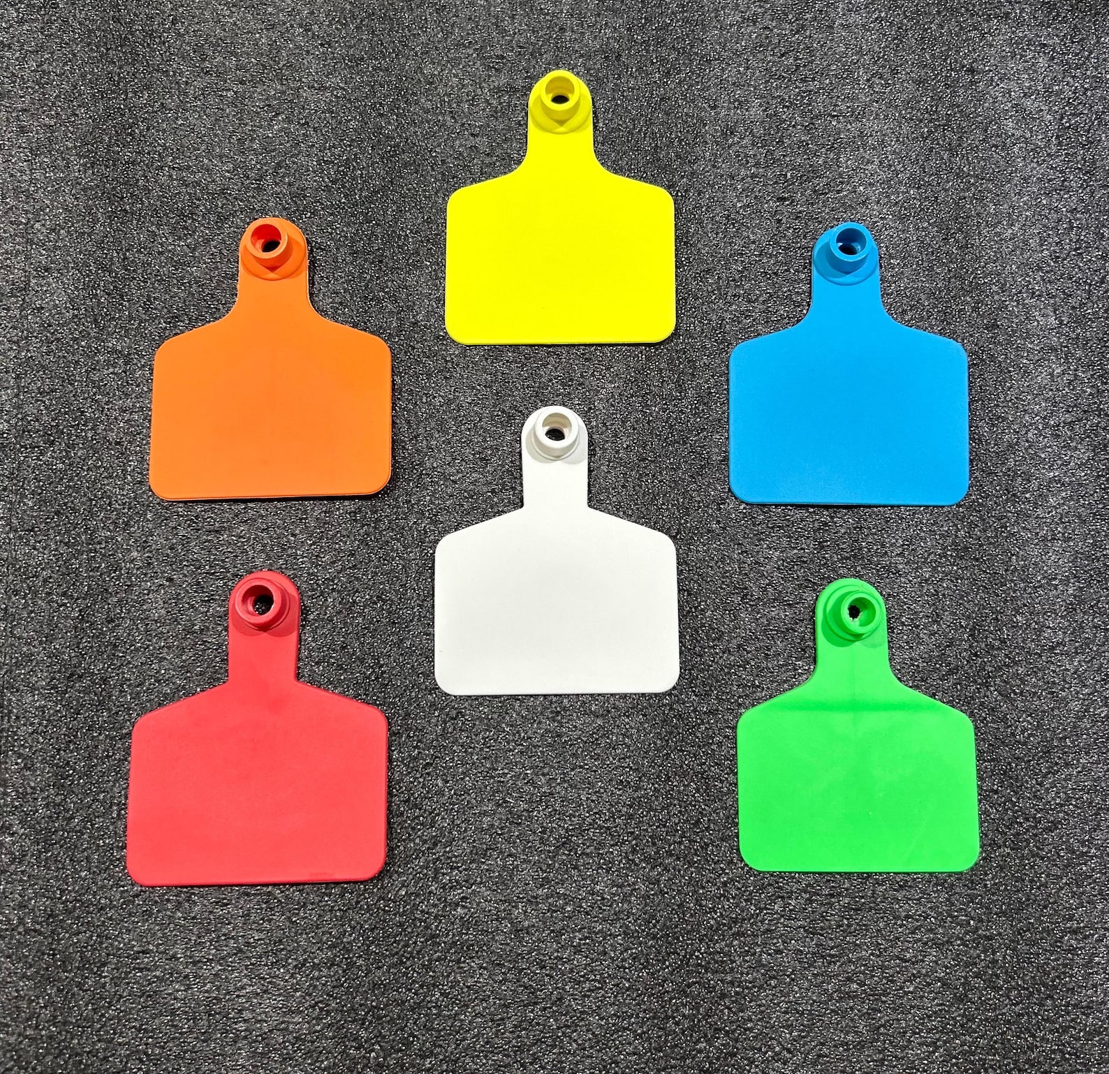 Custom Laser Engraved Cattle Ear Tag - Medium - Etsy