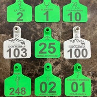 Custom Engraved Cattle Ear Tag, Cattle Ear Tags, Custom Cattle Tags ...