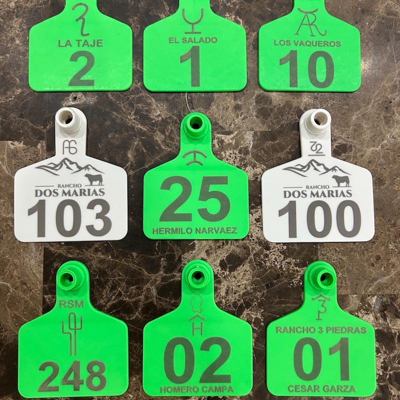 Custom Plastic Ear Tag - Etsy