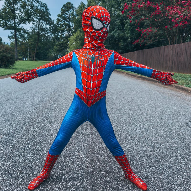Spider Man Girl 3t Costume - Etsy