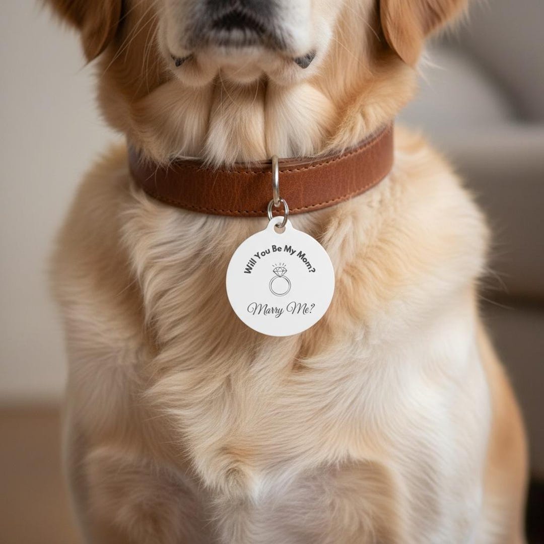 Custom Dog Proposal Tag: "will You Be My Mom? Marry Me?" Engagement Pet ...