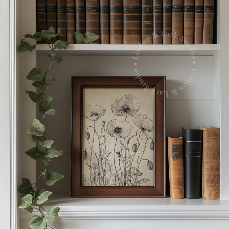 Botanical Flower Drawing Printable Wall Art - Sepia Poppy Illustration ...