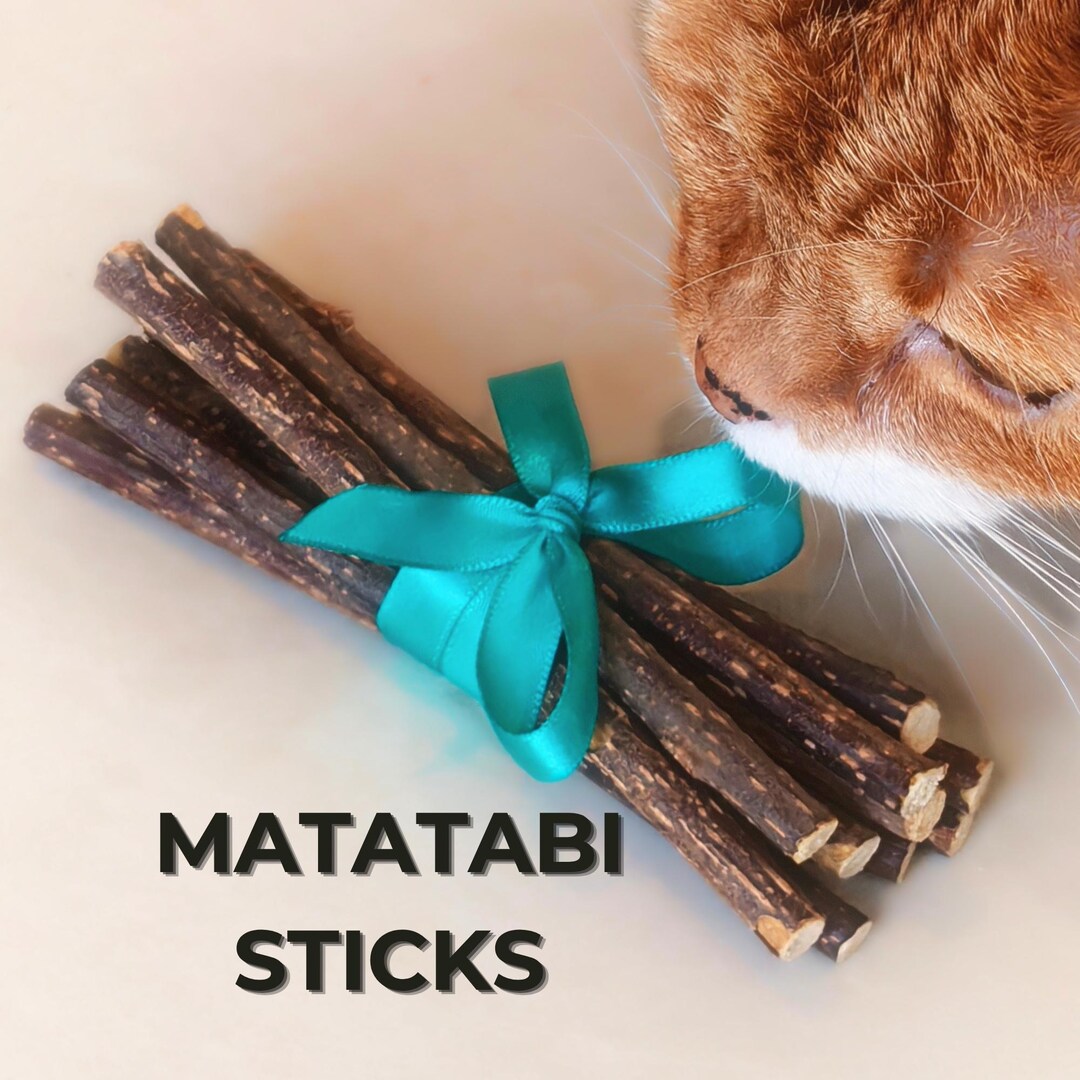 Silvervine Sticks for Cats | Matatabi Dental Chew Toy | Catnip ...