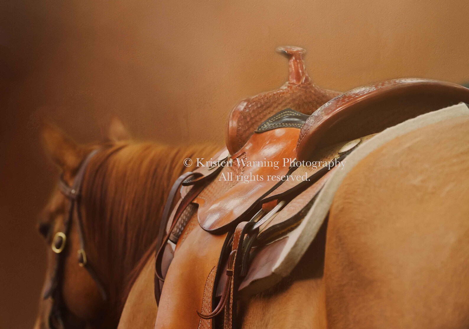 Western Art Western Saddle Horse Art Equine Photography - Etsy
