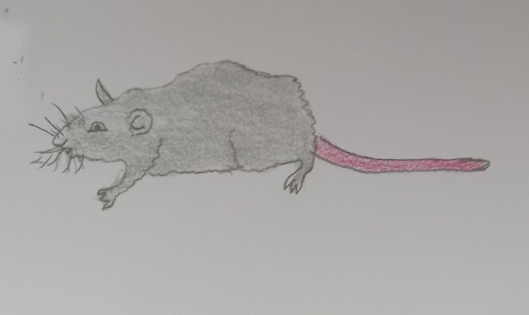 Hand-drawn Rat Illustration – Unique Rodent Artwork – Wildlife Animal ...