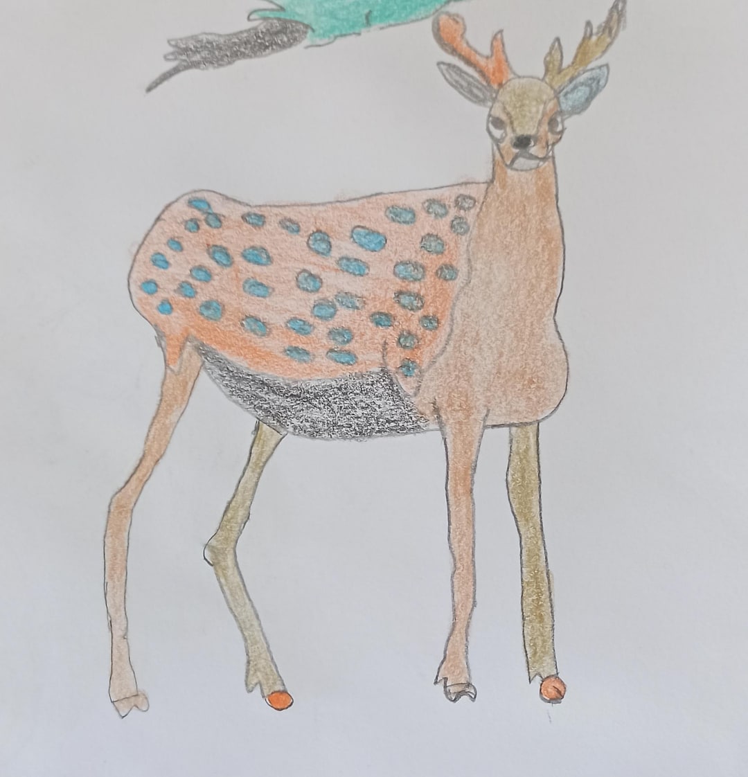 Fallow Deer Drawing – Colorful Hand-drawn Wildlife Art Illustration - Etsy