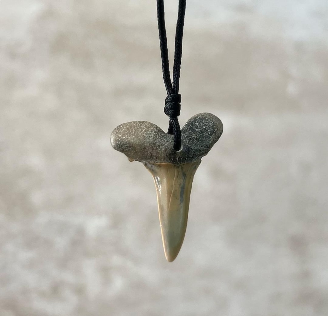 Large Shark Tooth Talisman #2 - Etsy