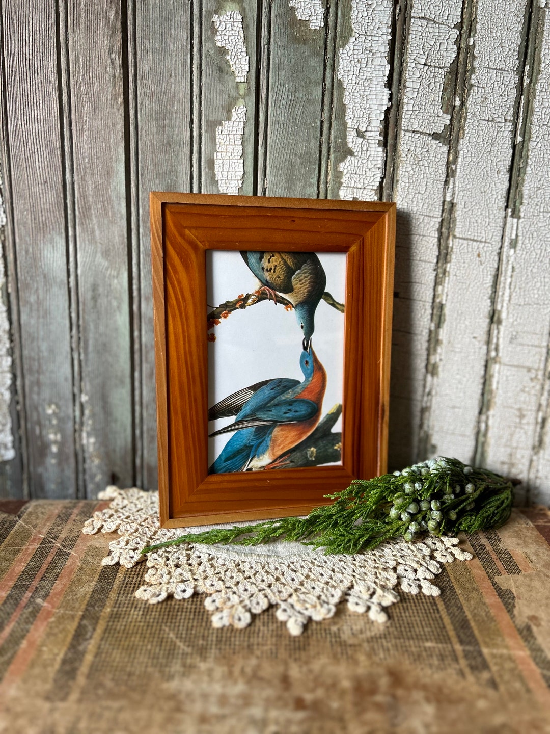 Audubon Passenger Pigeons Bird Print, Wooden Frame, Mama Feeding Baby ...