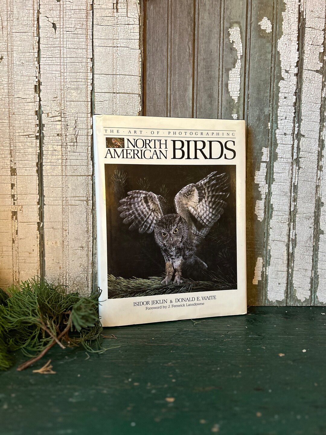 The Art of Photographing North American Birds Book - Etsy