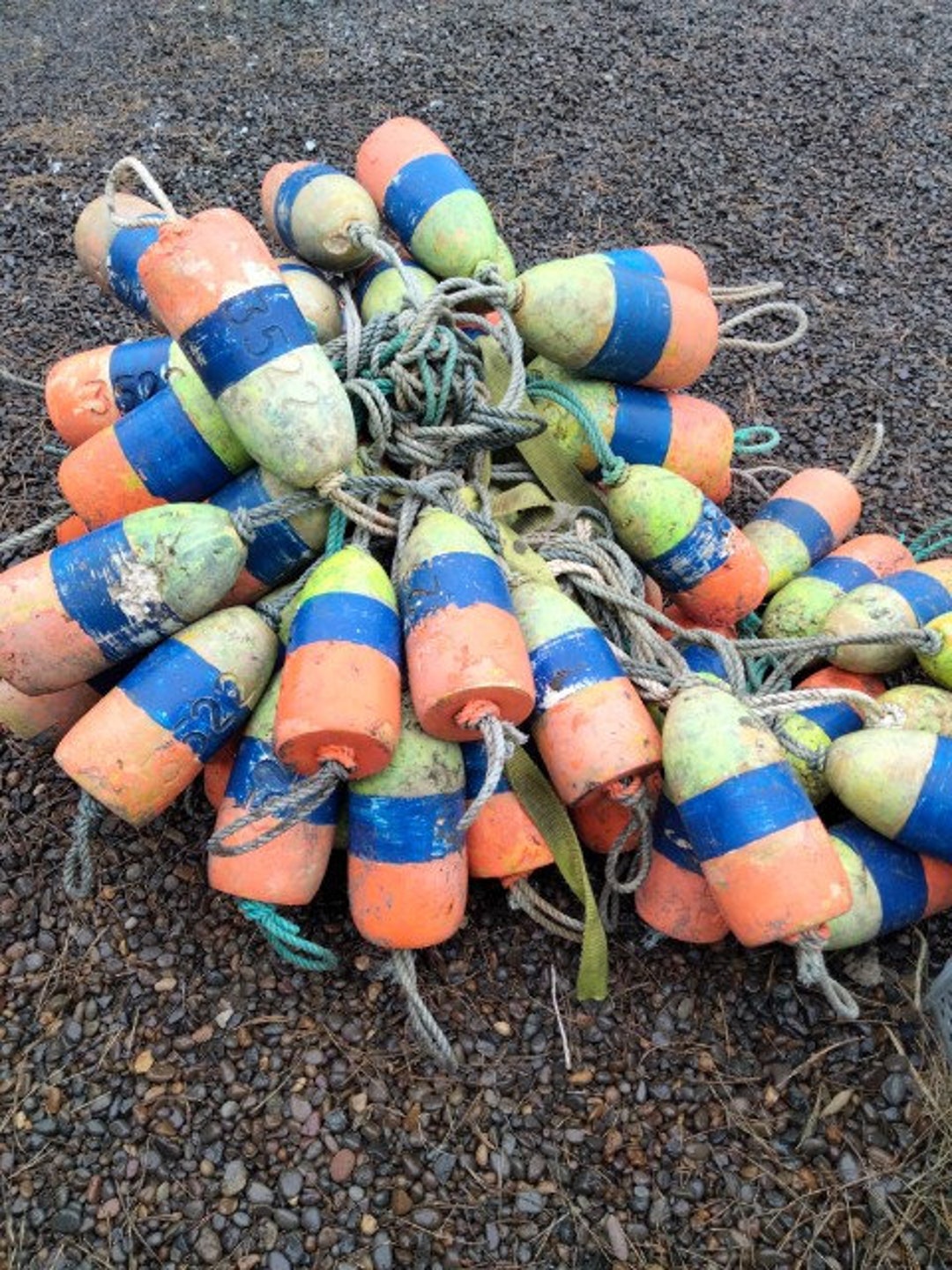 Get 3 Beach Combed Dungeons Crab Pots for Local Fishing in - Etsy