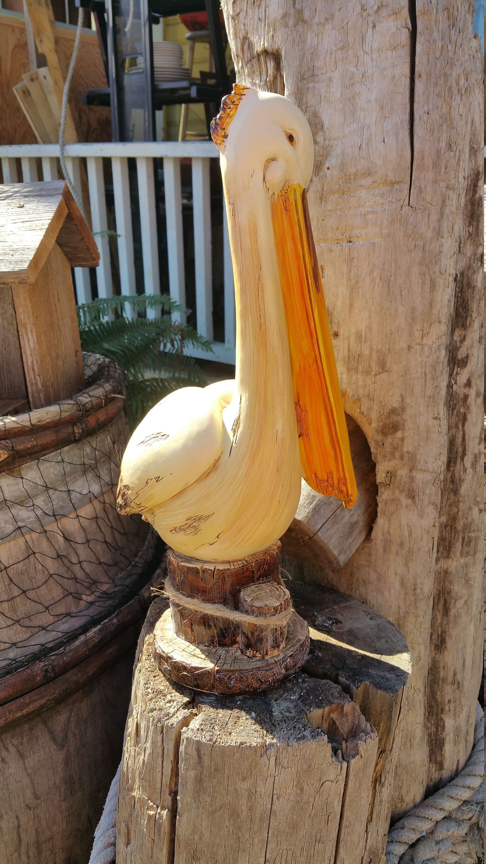 Pelican for Nautical Coastal Display Cool Piece of Bird Art - Etsy