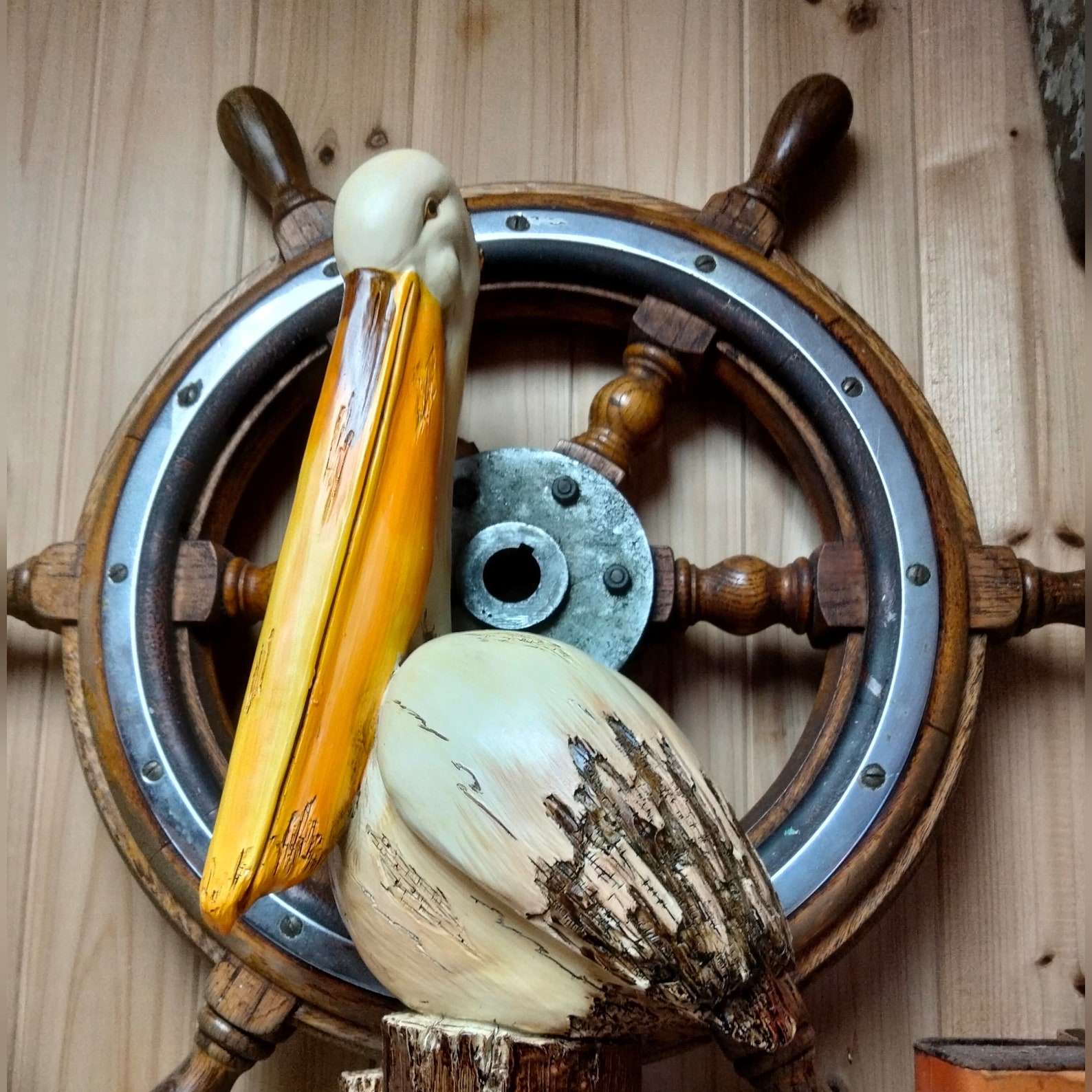 Pelican for Nautical Coastal Display Cool Piece of Bird Art - Etsy