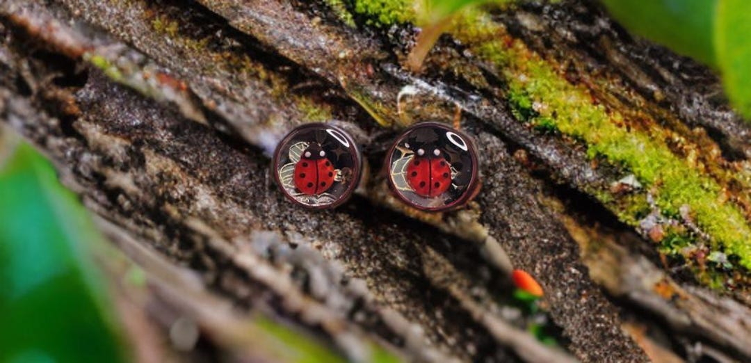Ladybug Bug Plugs Guages for Stretched Ears, Stainless Steel Tunnels ...
