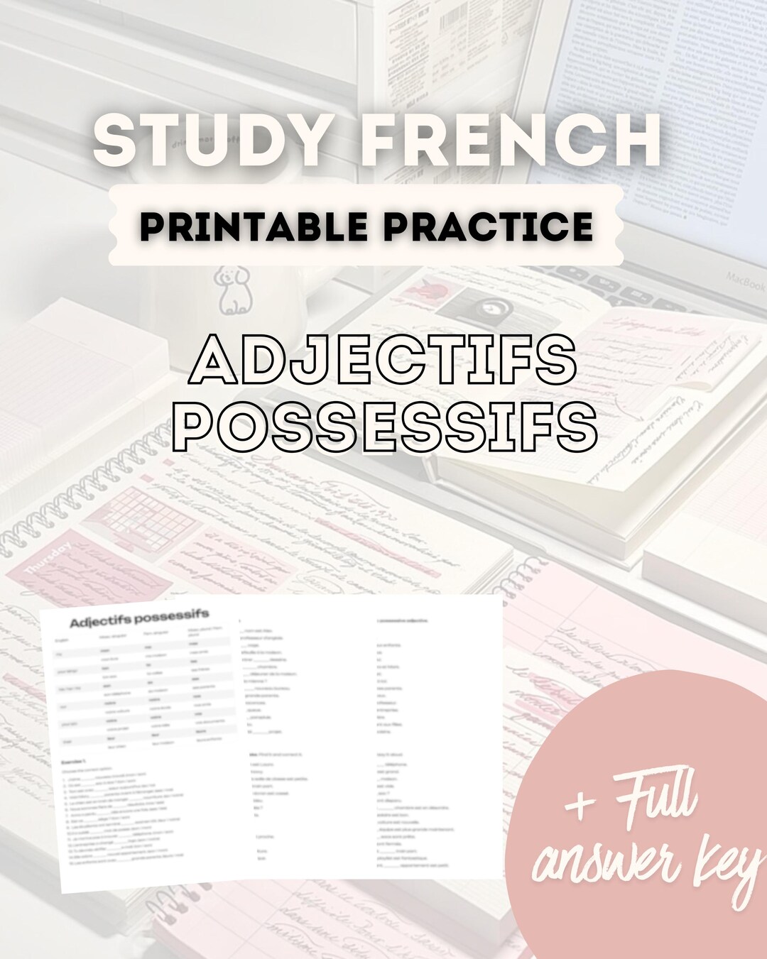 French Possessive Adjectives Worksheet | French Grammar A1-A2 Printable ...