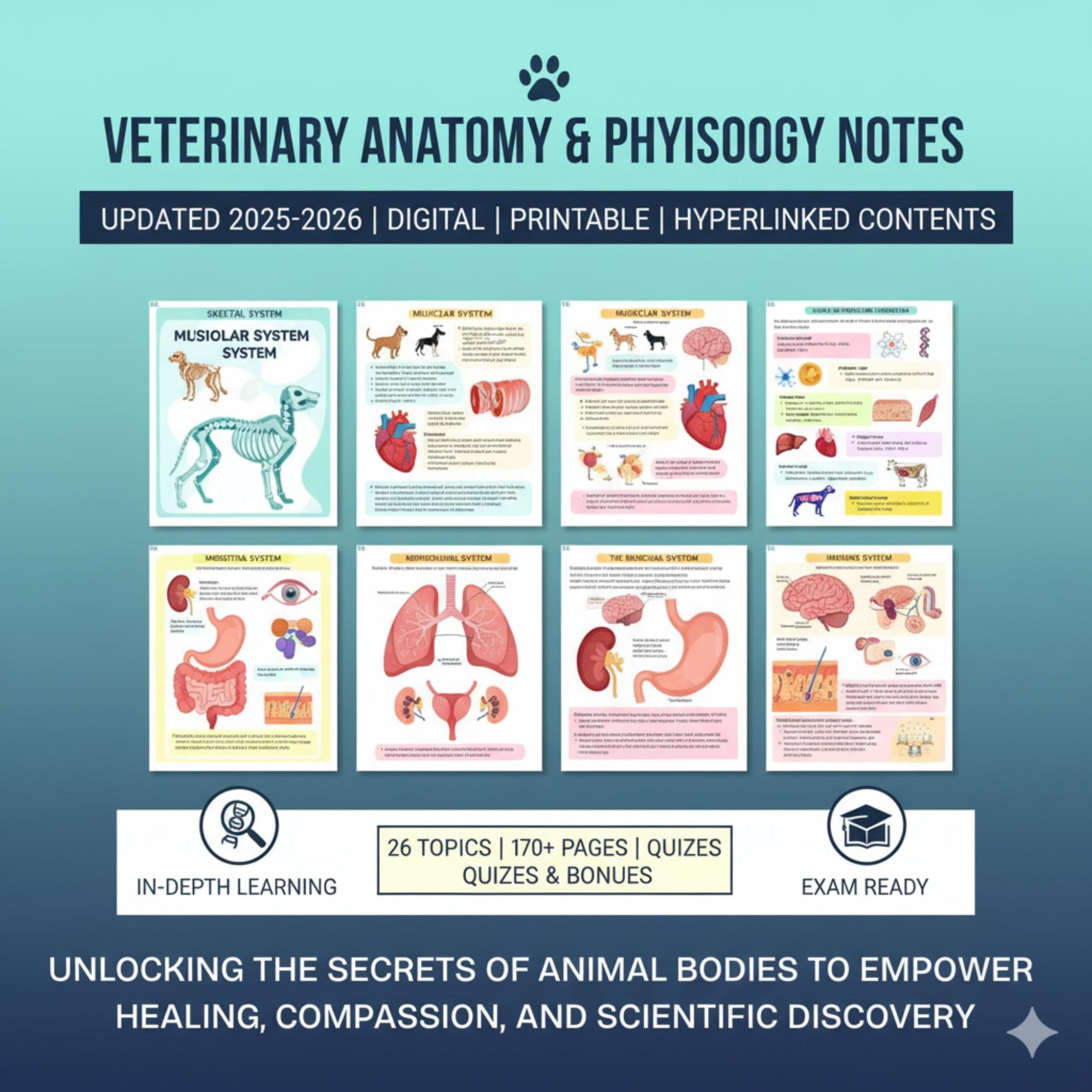 200 Sheets Veterinary Anatomy & Physiology Study Sheets, Nursing School ...