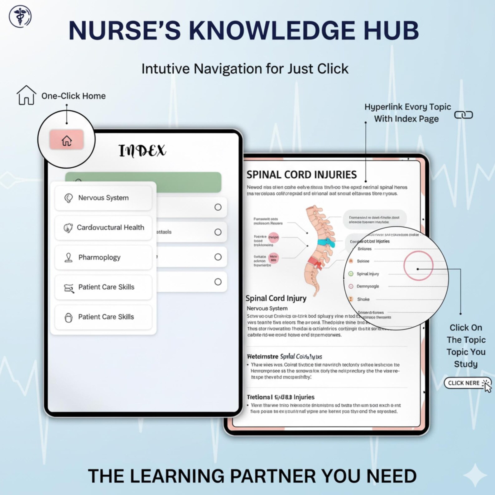 Neurology Study Guide, Neurology Nursing Study Guide, Neuro Anatomy ...