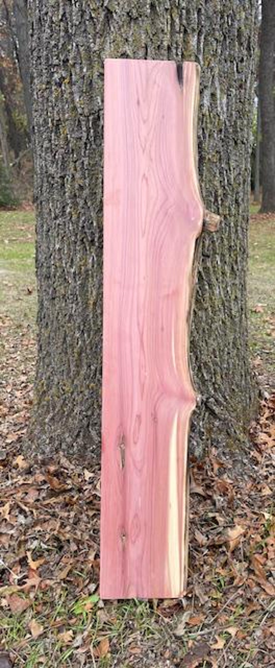 Live Edge Slab, Shelf, Board, Eastern Red Aromatic Cedar, Lumber, Craft ...