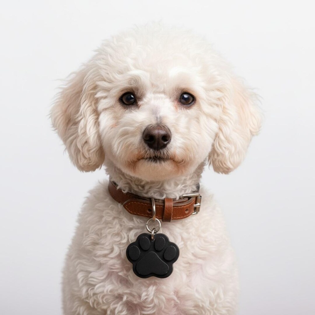 Dog Tag Handmade Concrete Pet ID Tag – Minimalist Cement Dog Name Tag ...