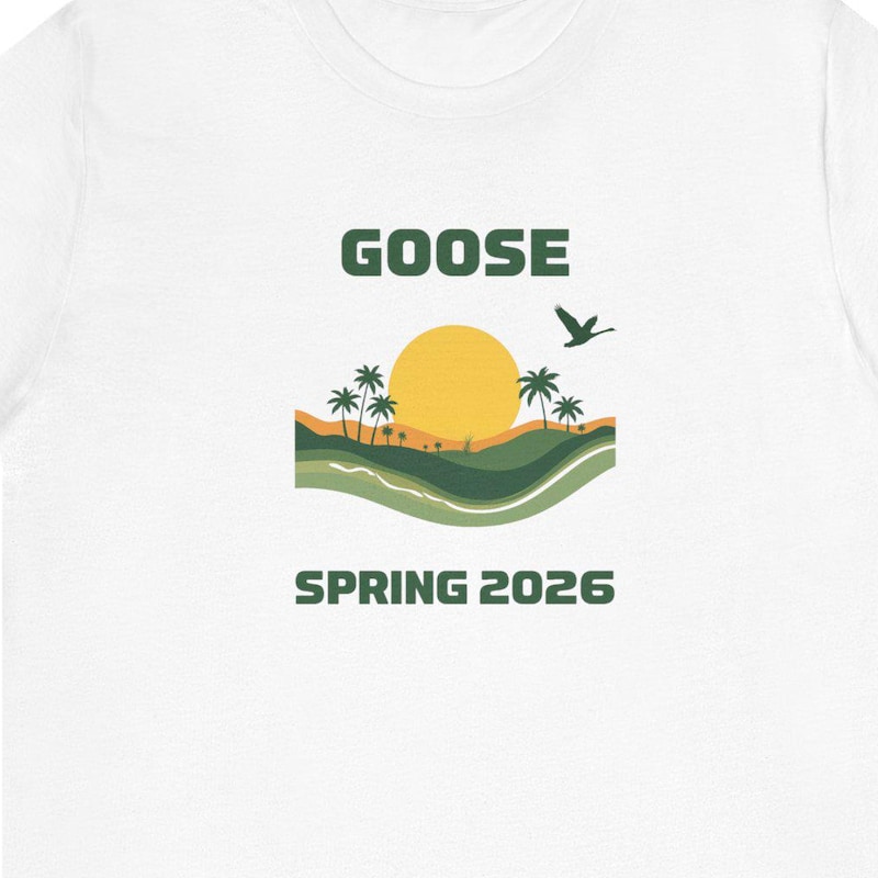 Goose in Florida - Etsy
