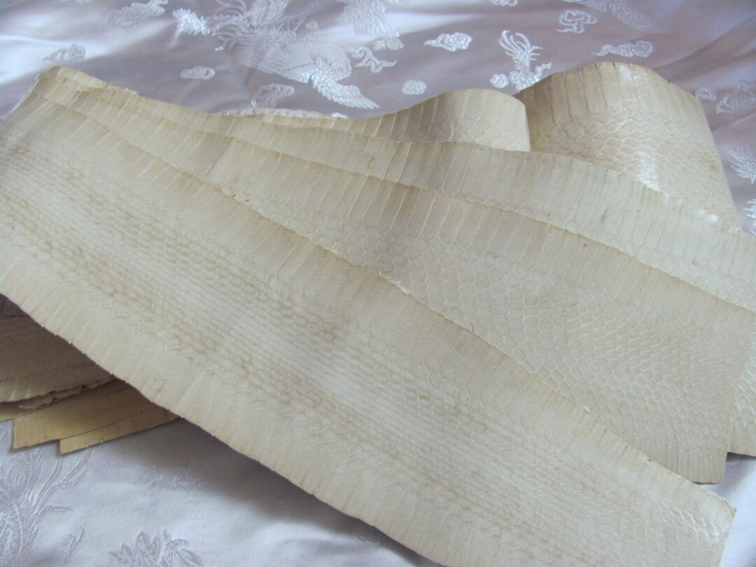 Snake Skin Pelt Leather Genuine Tanned Natural Exotic Hide Taxidermy ...