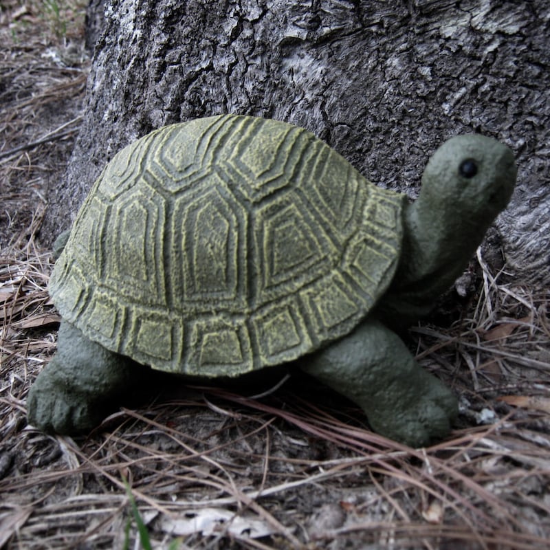 Large Garden Turtle Statue - Etsy