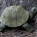 Turtle Statue Stretching, Painted Concrete Garden Figure, Cement Turtle ...