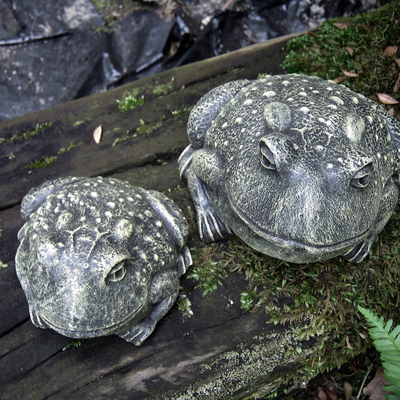 Concrete Toad - Etsy