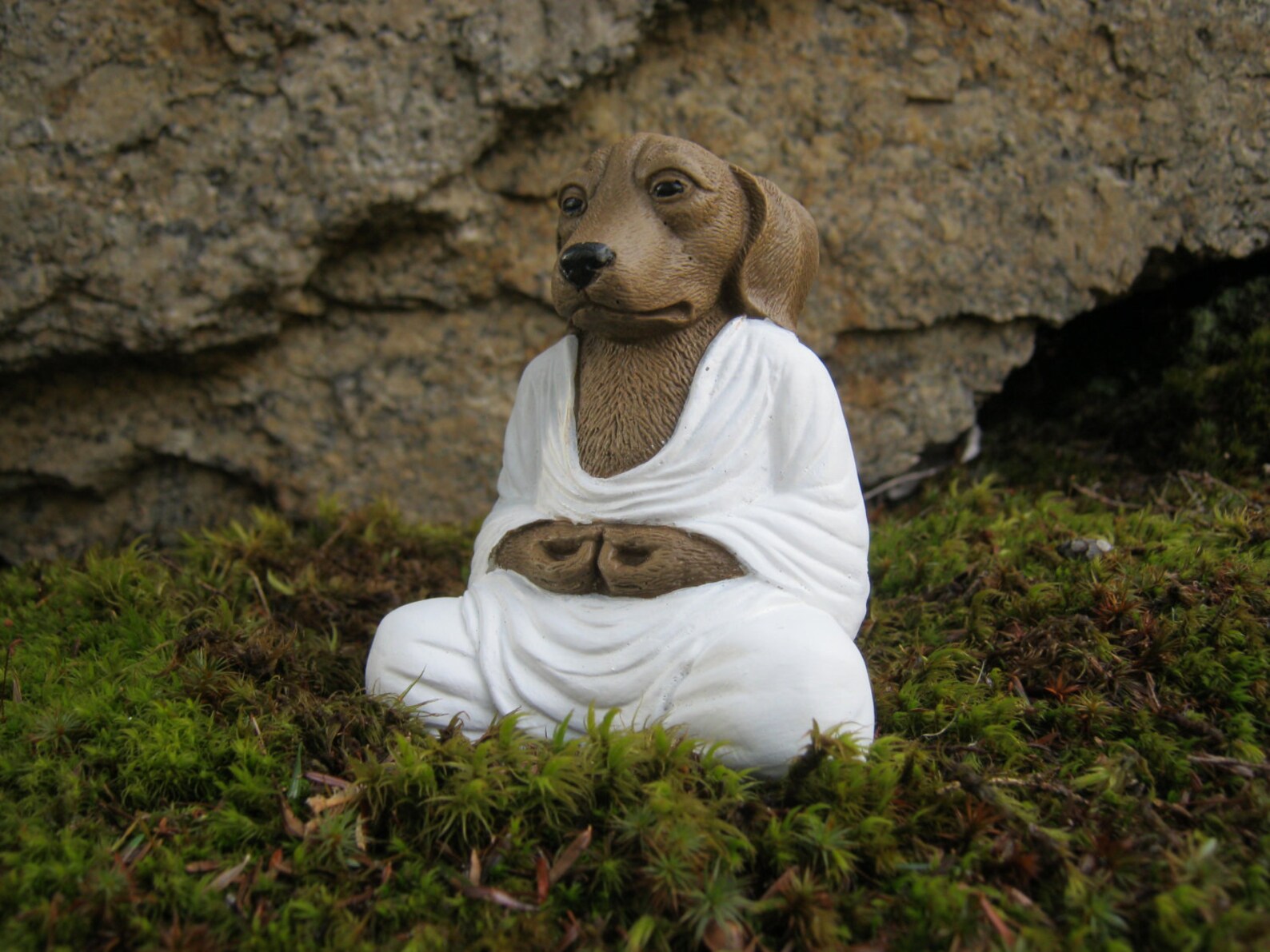 Meditating Dog Buddha Dog Buddhas Meditating Animal Zen - Etsy