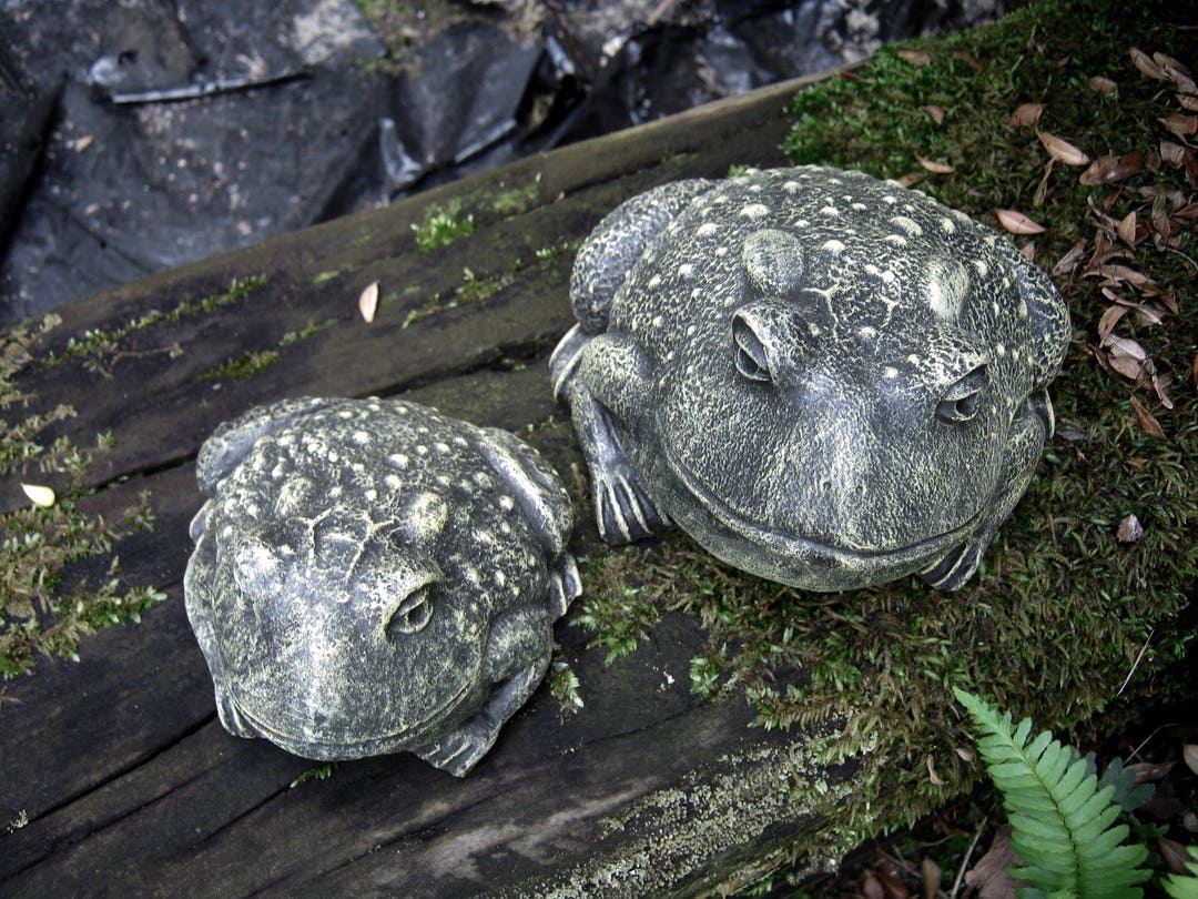 Toad Garden Statue, Cute Frog Concrete Figure, Painted Cement Garden ...