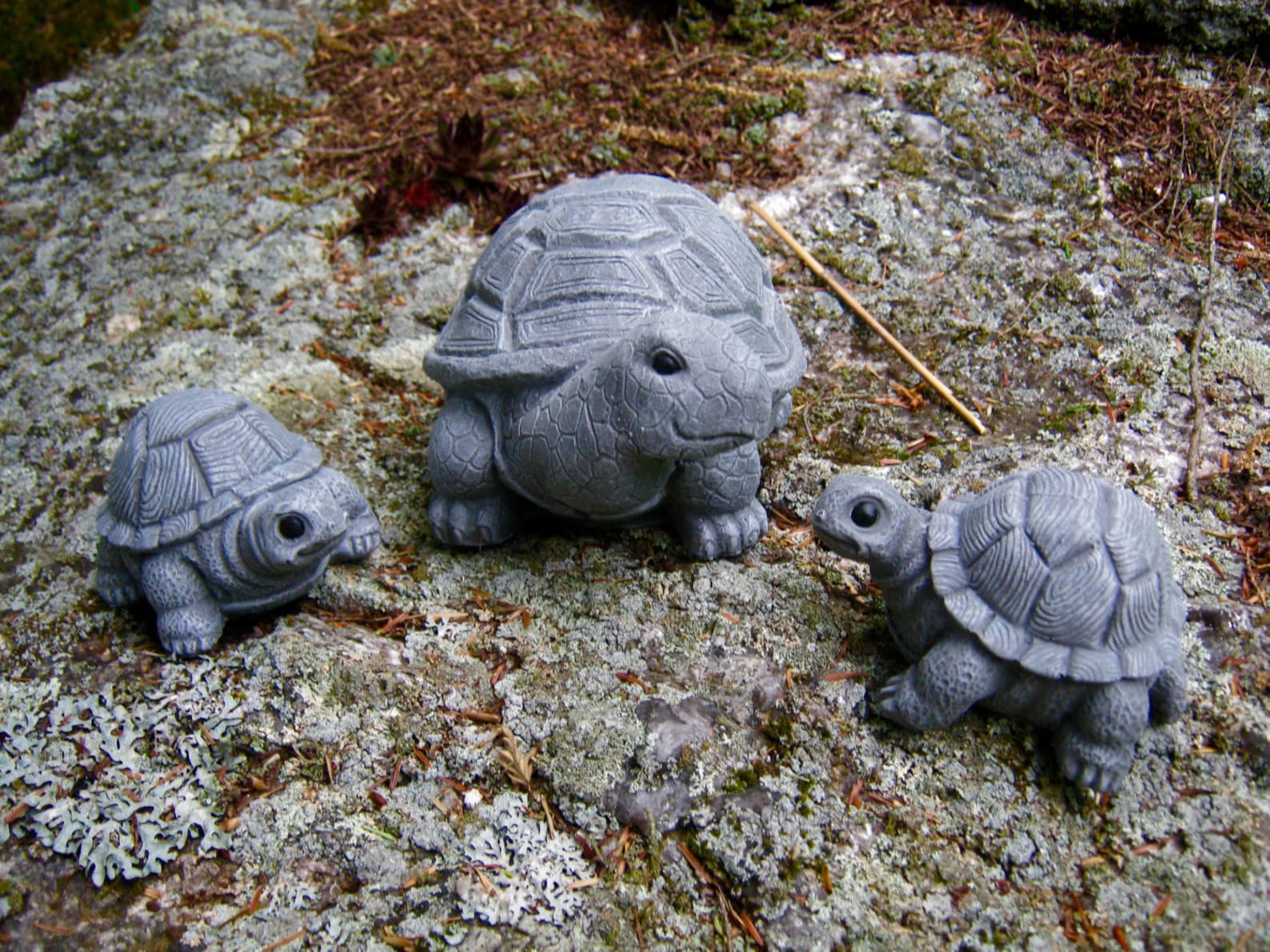 Turtle Statue, Concrete Cement Turtles, Painted Turtle, Cement Garden ...