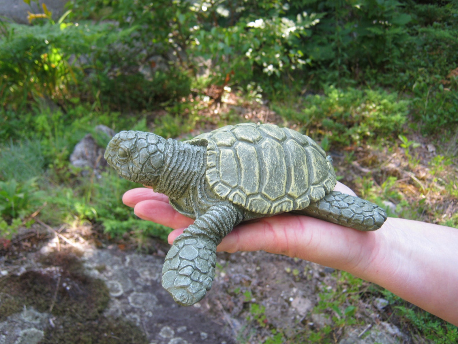 Sea Turtle Green Concrete Turtles Cement Cast Stone Pond - Etsy