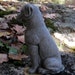 Boxer Dog Concrete Statues Statues of Boxer Dogs Boxer Dog Statue Pet ...