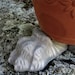 Pot Risers Pot Feet Concrete Flower Pot Feet Lion Paw Pot - Etsy