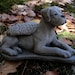 Boxer Statue, Concrete Boxer Dog, Boxer Dog Angel, Dog Statues, Boxer ...