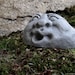 Garden Rock Face, Concrete Garden Face, Funny Face, Rocks With Faces ...