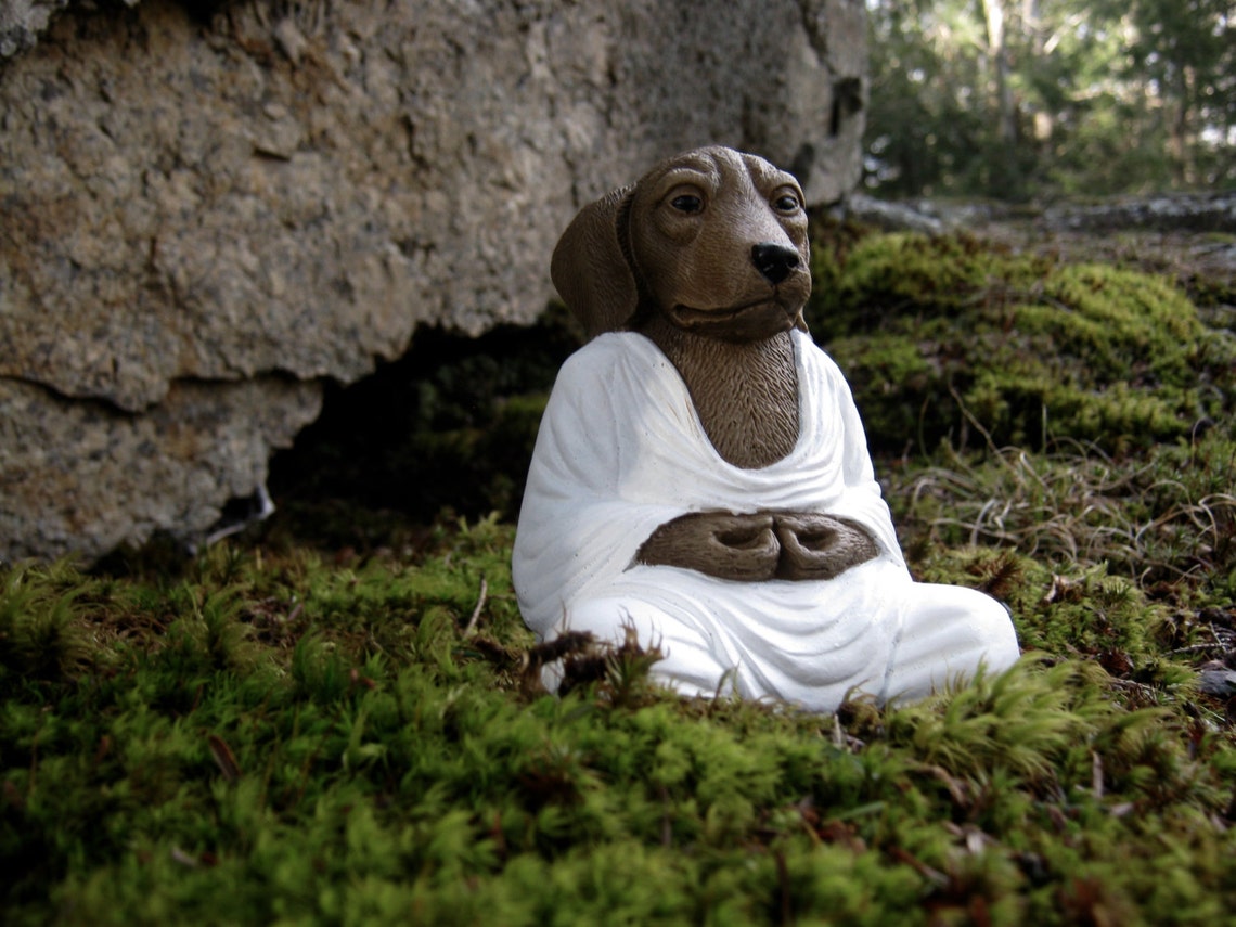 Dog Buddha Meditating Dog Concrete Dog Buddhas Zen Like - Etsy