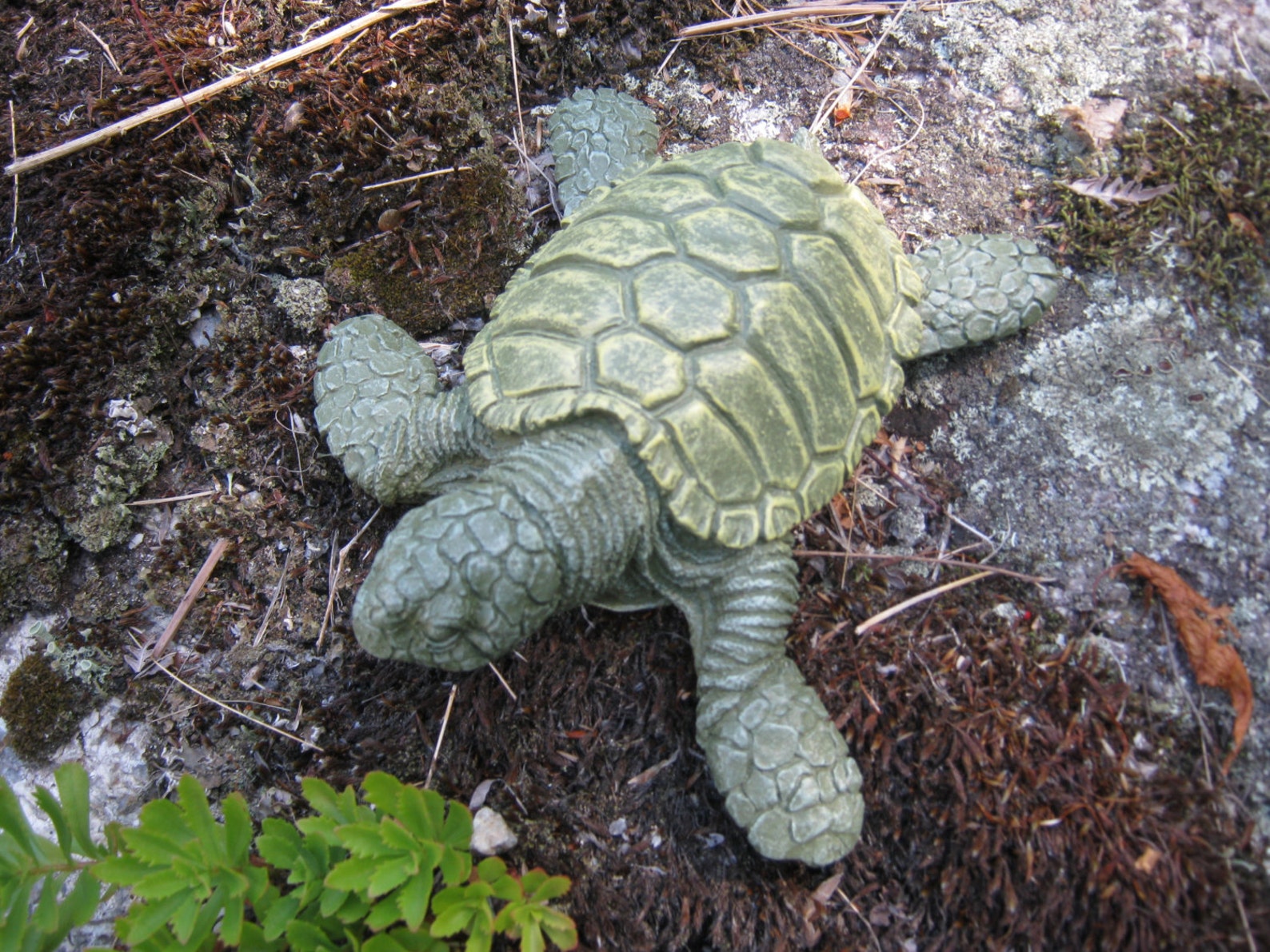 Sea Turtle Green Concrete Turtles Cement Cast Stone Pond | Etsy
