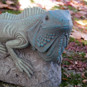 Iguana, Iguana Garden Statue, Reptile Garden Decor, Painted Concrete ...