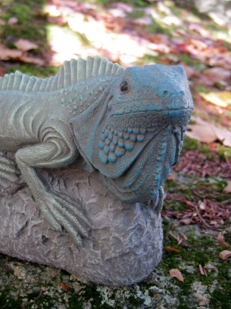 Iguana, Iguana Garden Statue, Reptile Garden Decor, Painted Concrete ...
