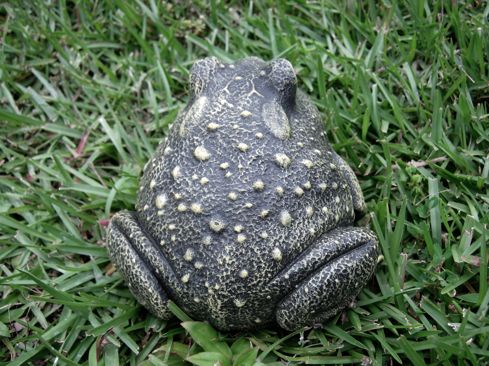 Toad Garden Statue Cute Frog Concrete Figure Painted Cement - Etsy