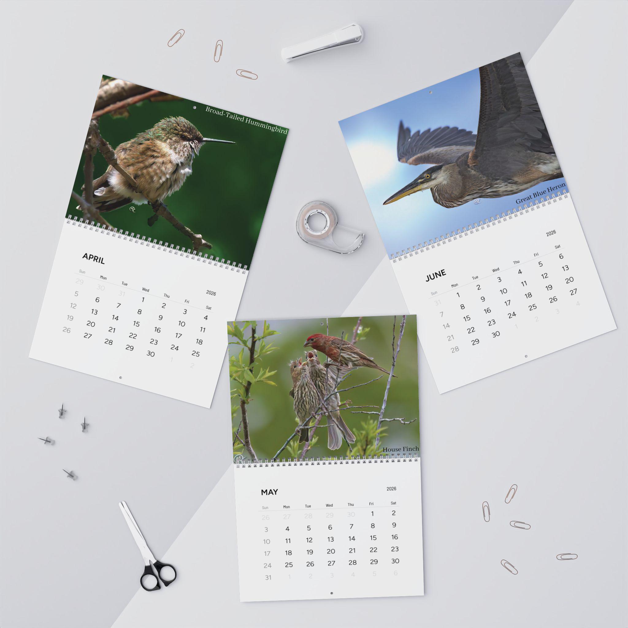 2026 Birds of North America Wall Calendar | Bird Photography | Nature ...