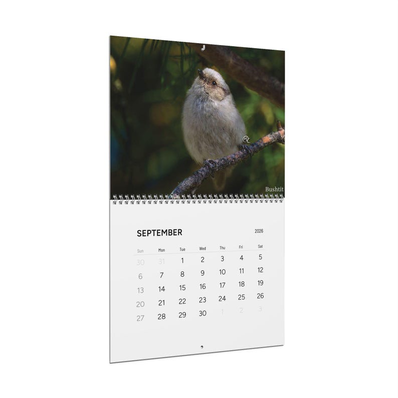 2026 Birds of North America Wall Calendar | Bird Photography | Nature ...