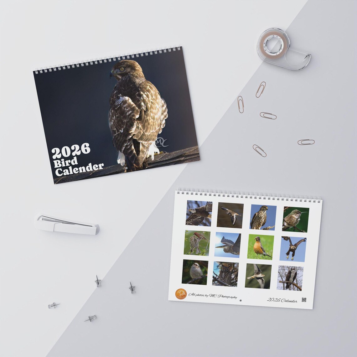 2026 Birds of North America Wall Calendar | Bird Photography | Nature ...