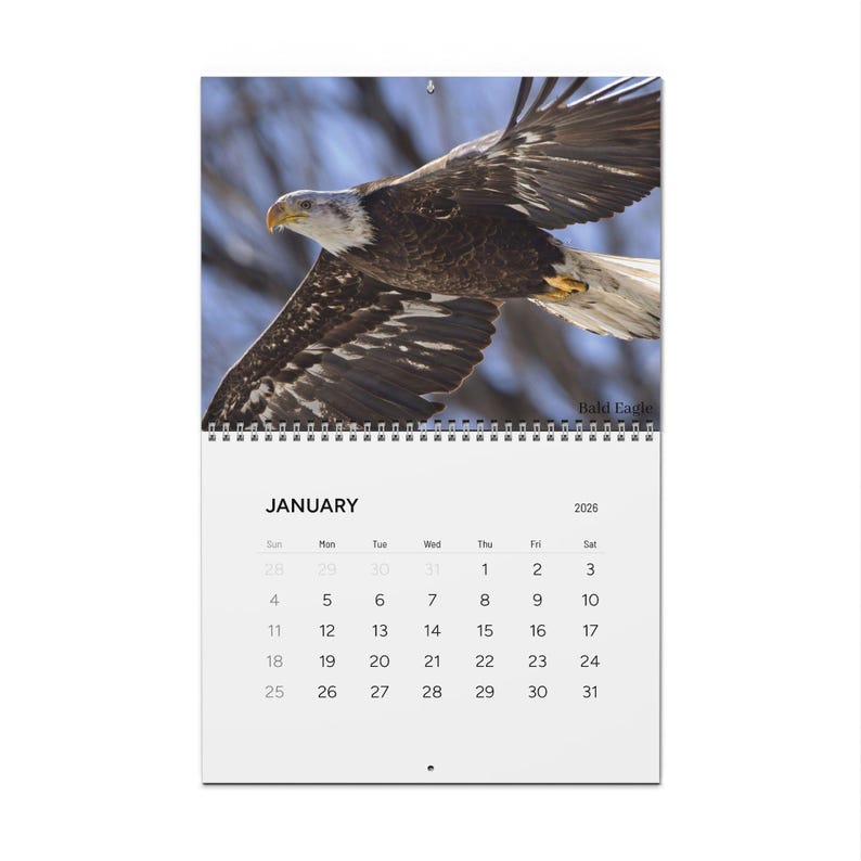 2026 Birds of North America Wall Calendar | Bird Photography | Nature ...